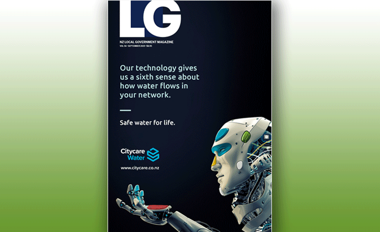 A Significant Election Year for LOCAL GOVERNMENT - Local Government ...