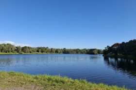 David Hammond opinion Archives - Local Government Magazine